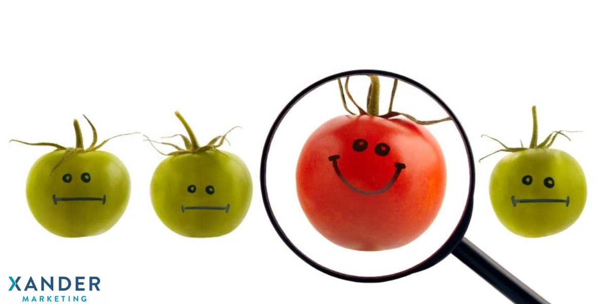 A 4 Step Guide to Winning the Categorisation Game | Xander Marketing